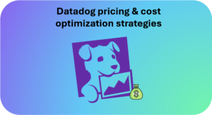 Holori - Guide to Datadog Pricing and cost optimization strategies